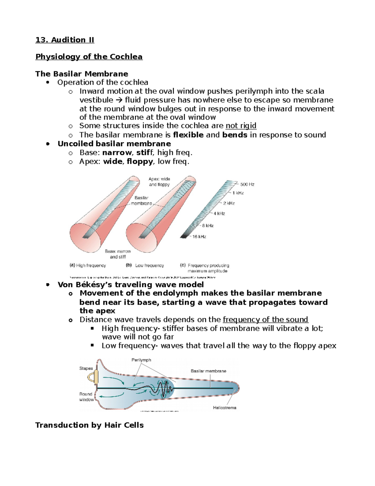 Chapter 13 - Audition II - Audition II Physiology of the Cochlea The ...