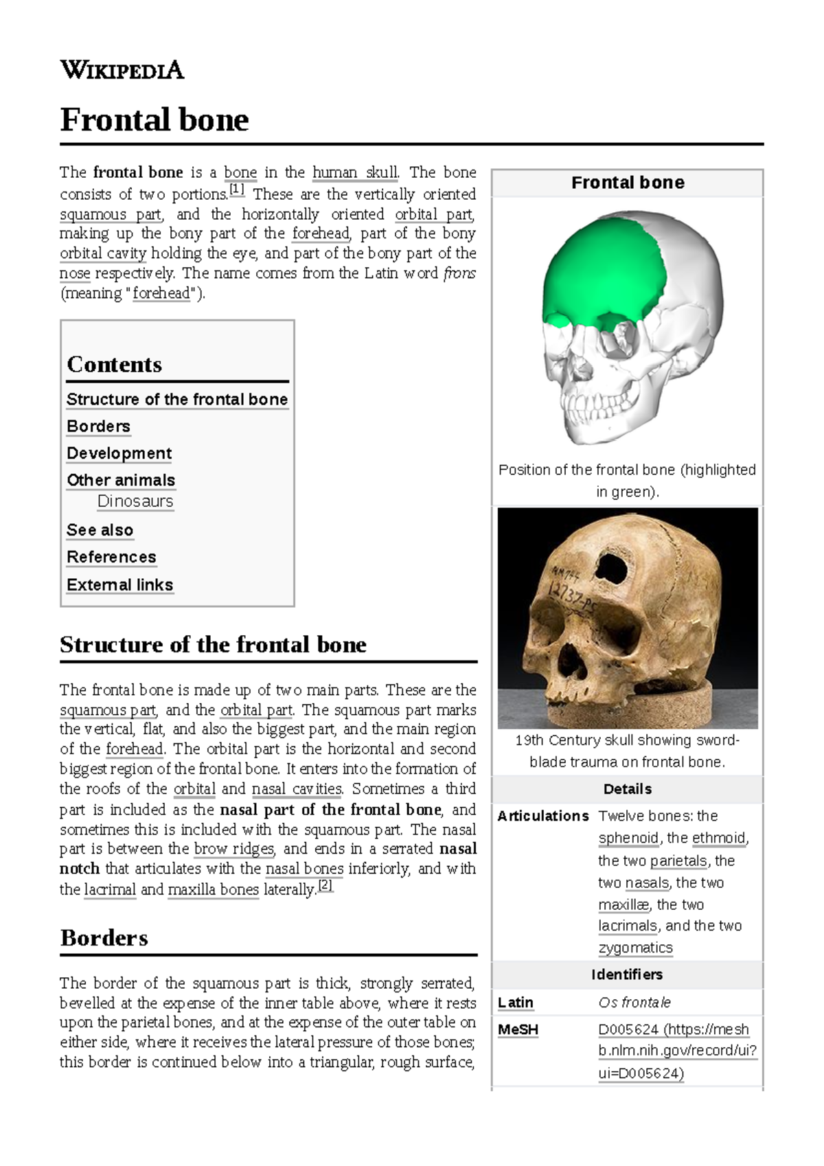 Frontal bone - nth - Frontal bone Position of the frontal bone ...