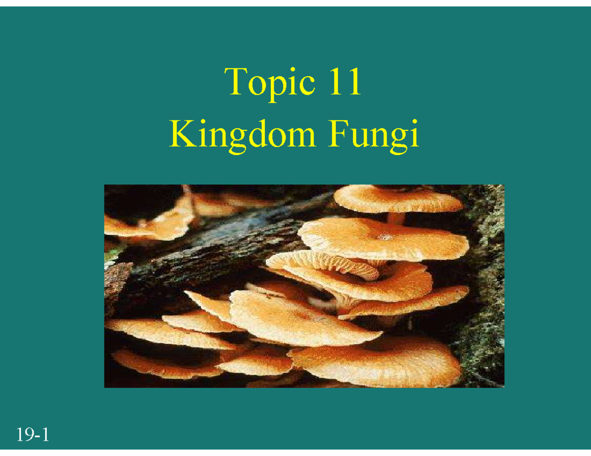Topic 11 - Fungi - As you study your lecture notes for the upcoming ...