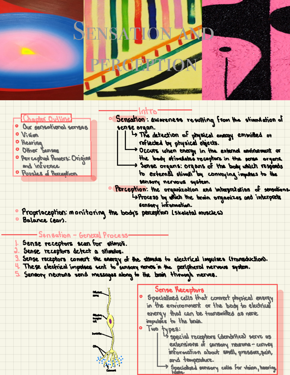 Psychology - sensation and perception - Sensation and perception Intro ...
