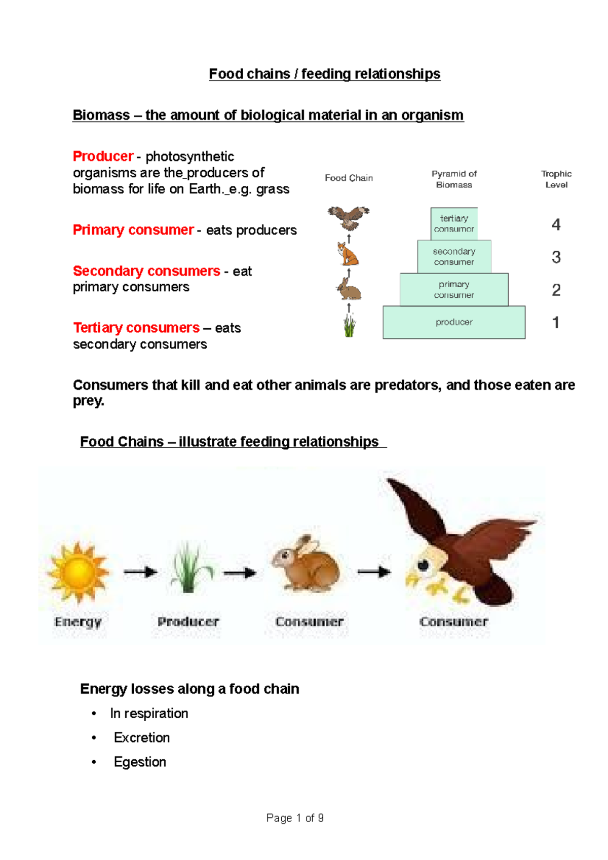 Triple Food Chains Handout - Food chains / feeding relationships ...