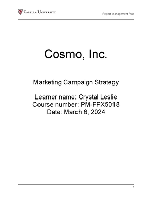 Project scope revision - Cosmo Wearables: Project Scope Statement ...