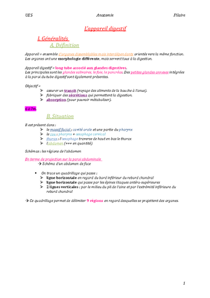 ANATOMIE DU TRONC - CHAPITRE 1 LES PAROIS DU TRONC Qu’est-ce que le ...