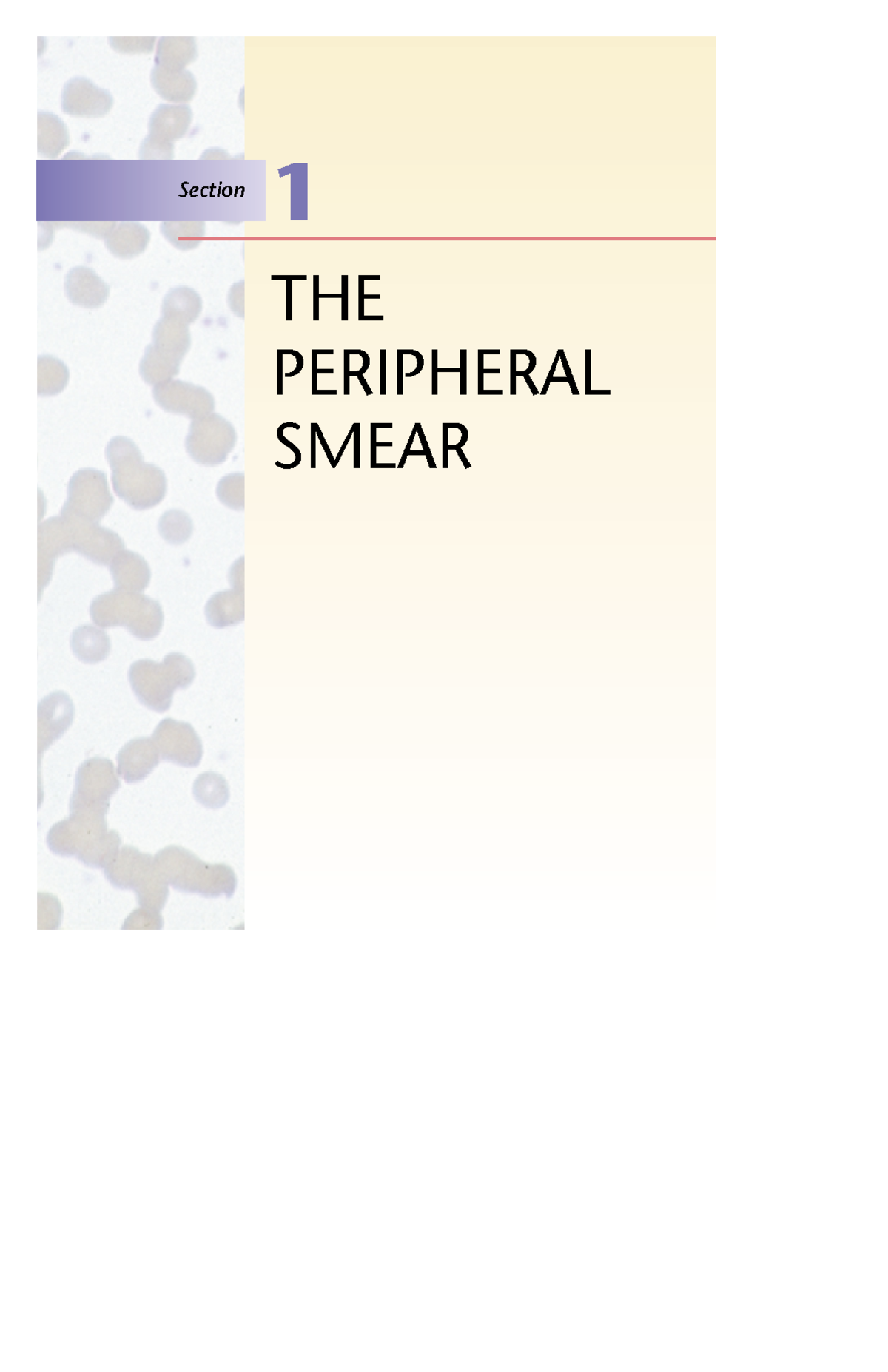 Atlas of Clinical Hematology - Section 1 THE PERIPHERAL SMEAR ...