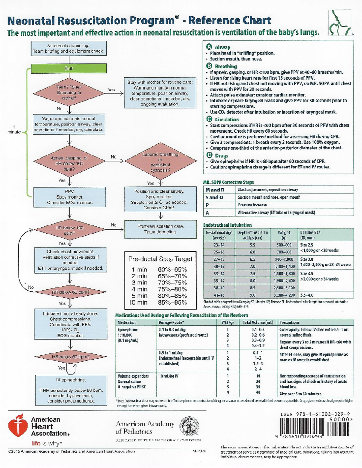NRP Algorithm 7th edition - DP 218 - Studocu