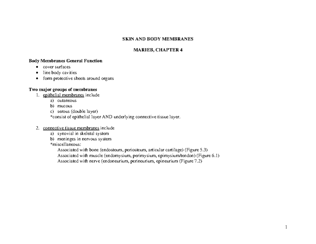 ANAT113 Integumentary System week 5 - SKIN AND BODY MEMBRANES MARIEB ...