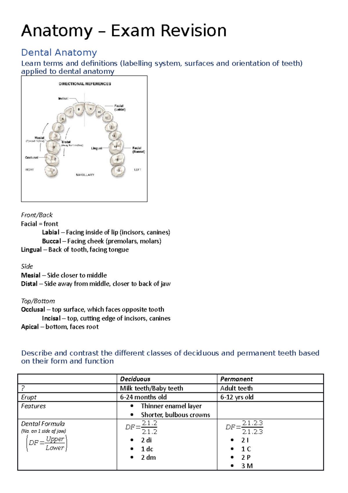 Anatomy Revision lecture notes - Anatomy – Exam Revision Dental Anatomy ...