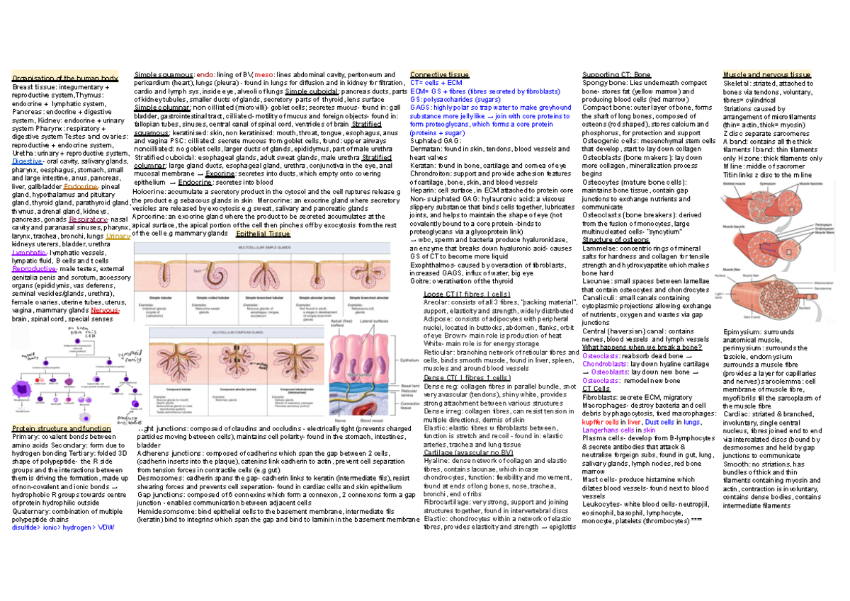 Bio cheat sheet copy - Summary Biology for Biomedical Science: Cellular ...