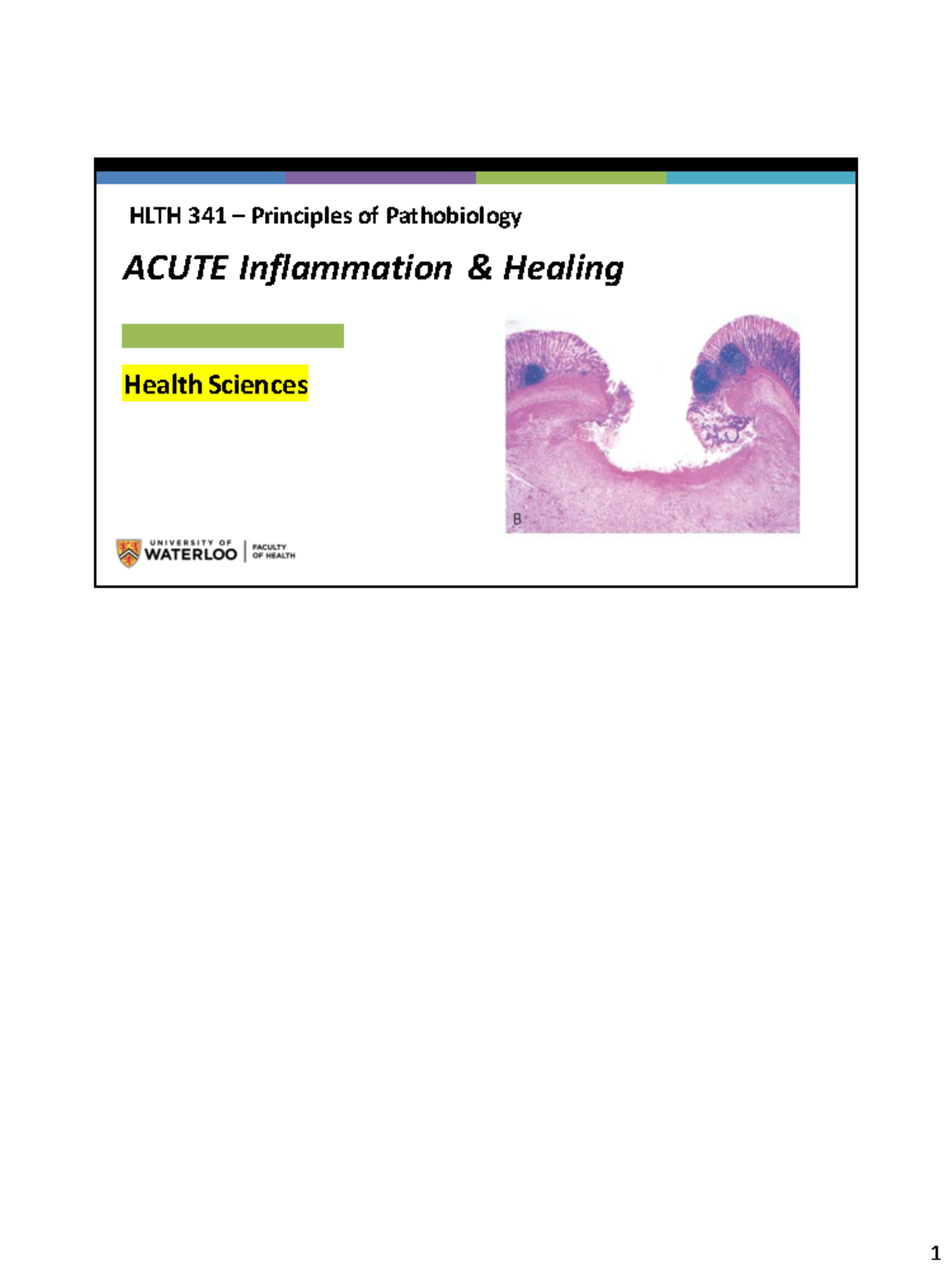 Test 2 341 - ACUTE Inflammation & Healing Health Sciences HLTH 341 ...