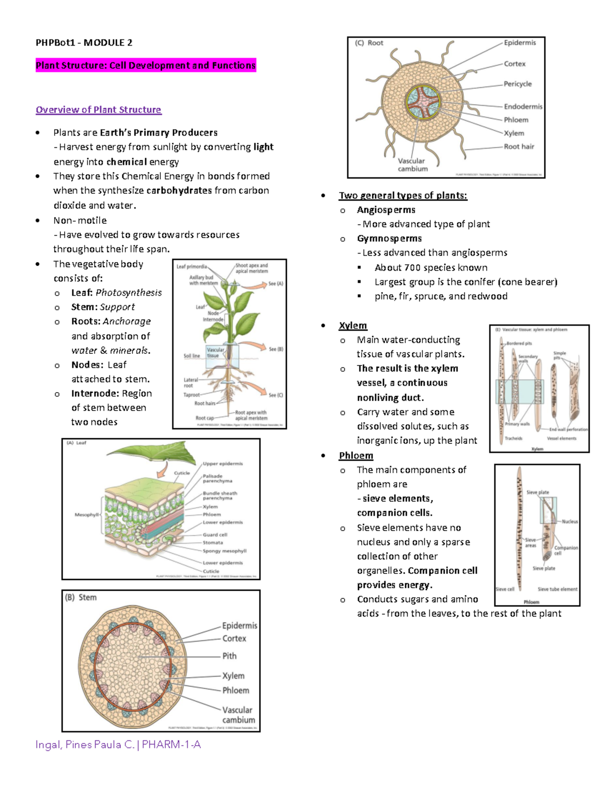BOTANY 1 MODULE 2 Cell Structure 1ST YEAR - PHPBot1 - MODULE 2 Plant ...
