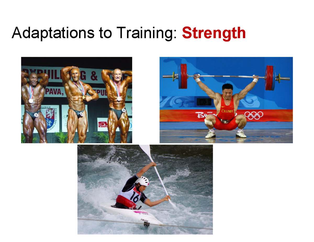 203 Strength and Power L27 - Adaptations to Training: Strength ...