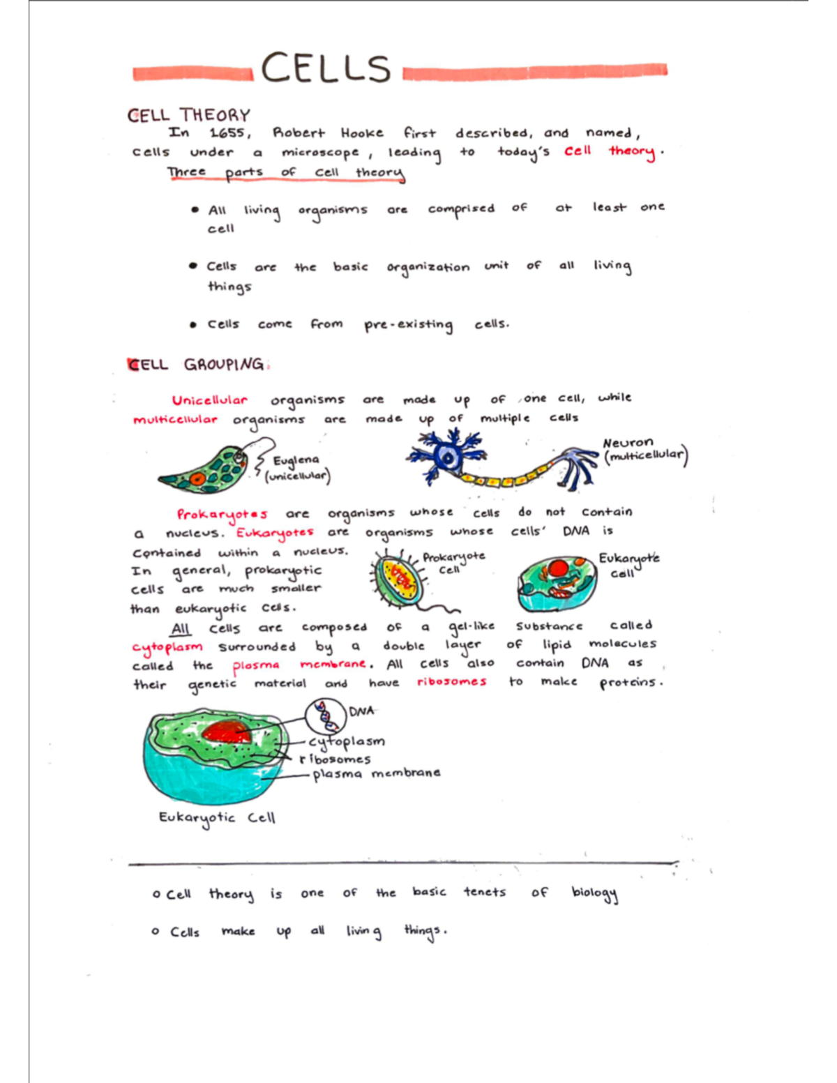 Cells - Lecture notes on basic cell information taught by Laura Webb at ...