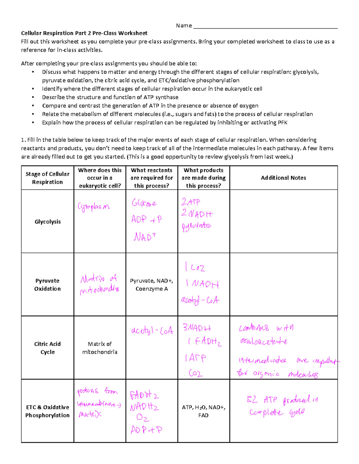 Week 4a Cellular Respiration 2 Reading Guide - Name