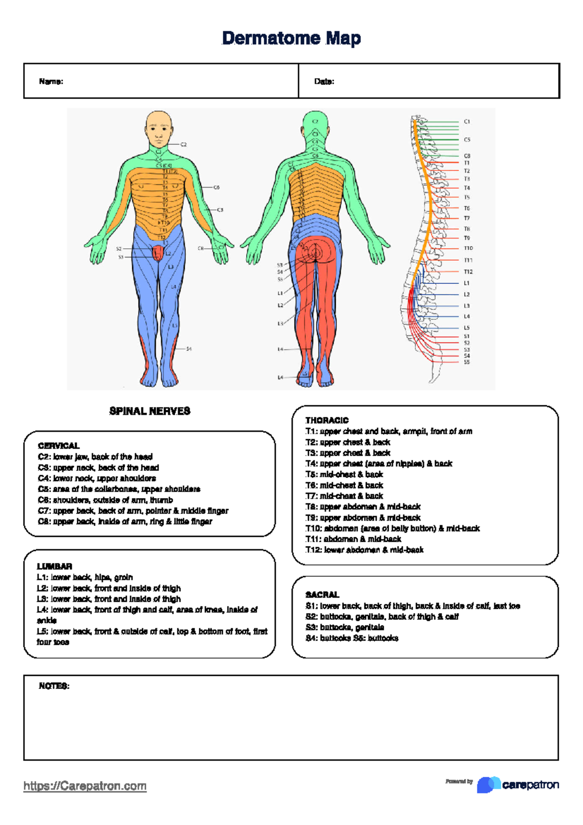 Dermatome-map - Neurological assessment - Name: Date: Dermatome Map ...