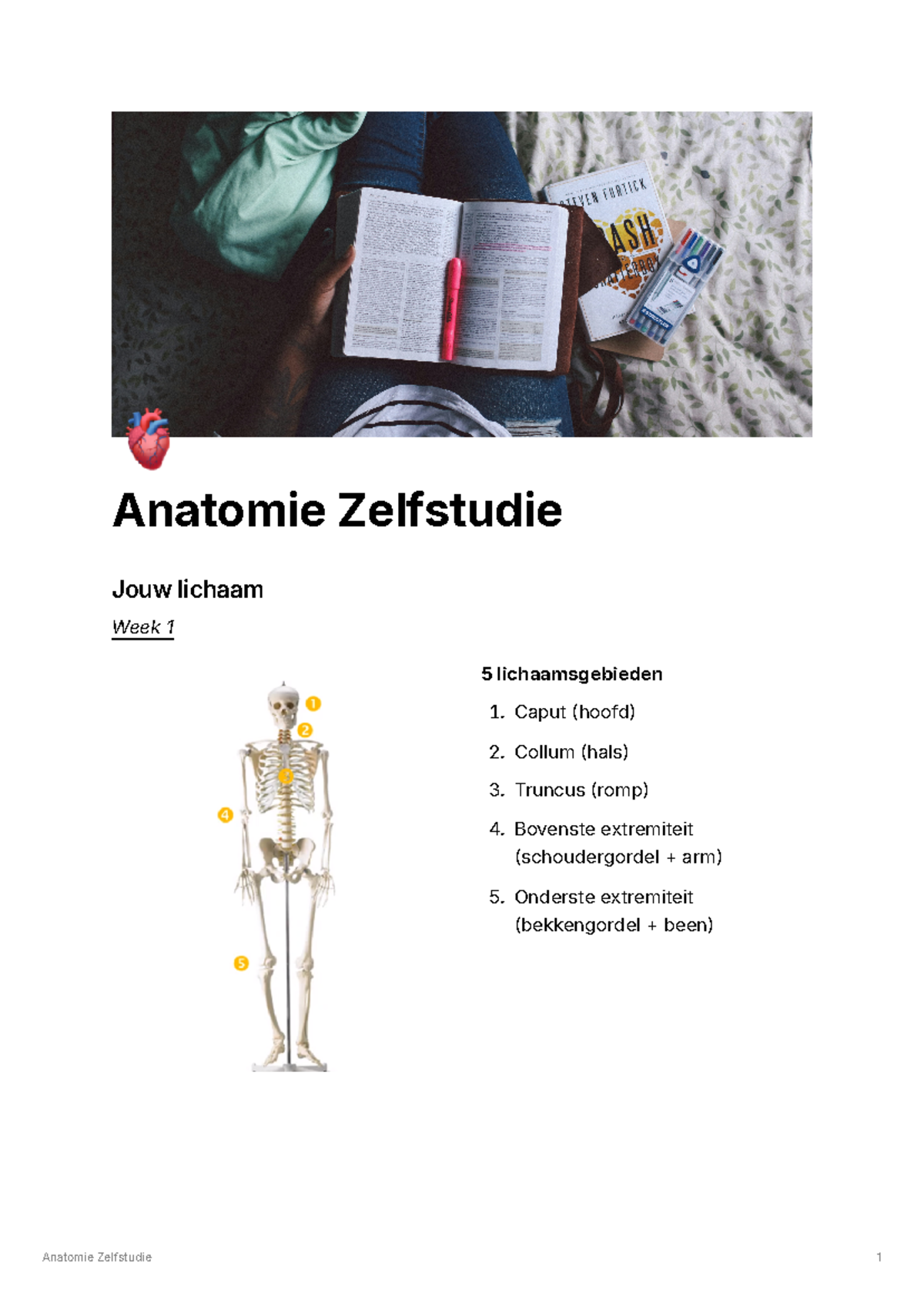 Anatomie Zelfstudie - 🫀 Anatomie Zelfstudie Jouw lichaam Week 1 5 ...