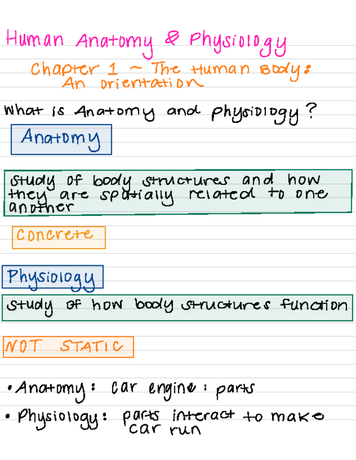 Lecture 1 The Human Body - Human Anatomy & Physiology chapter 1 The ...