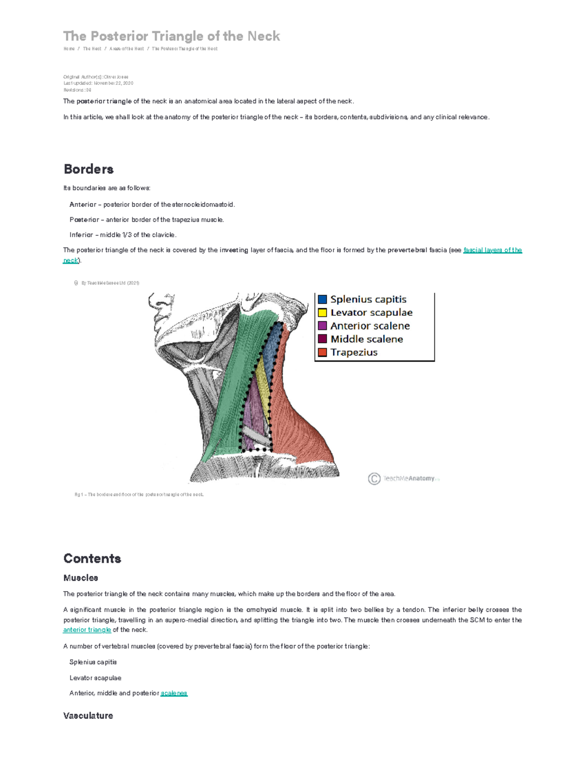 Posterior triangle of neck and its subdivisions simplified lecture note ...