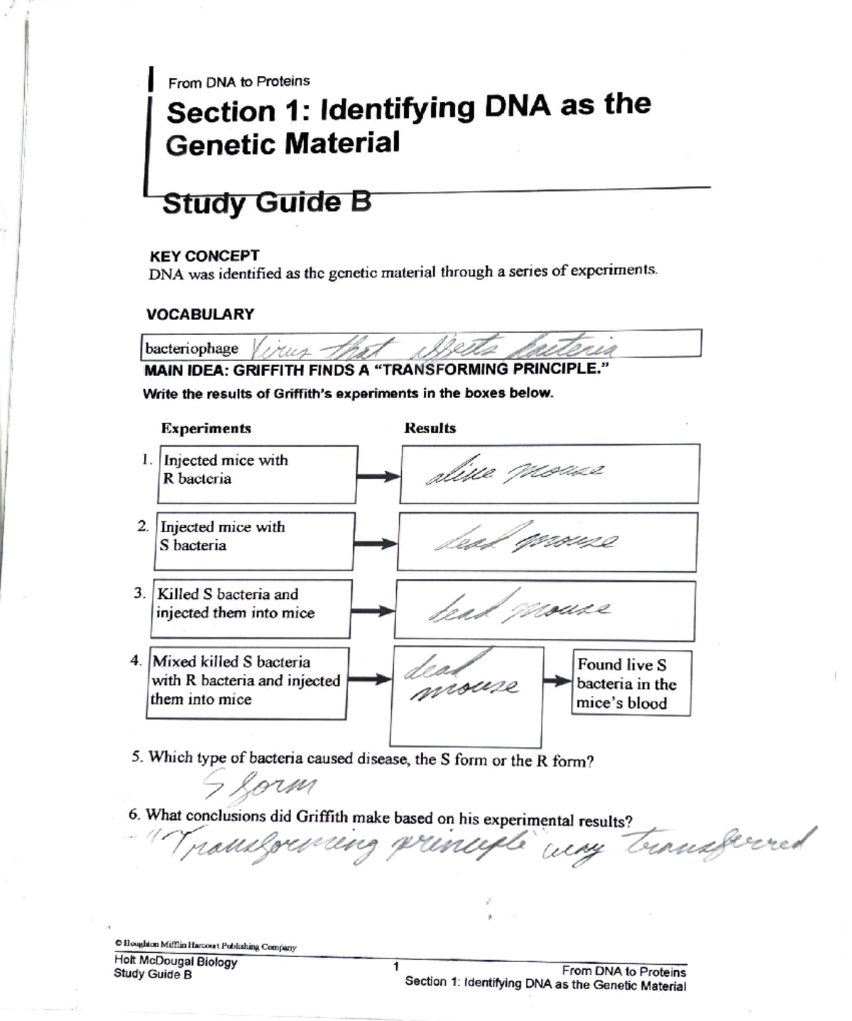 Adobe Scan Apr 27, 2023 - Worksheet - f From DNA to Proteins Section 1 ...