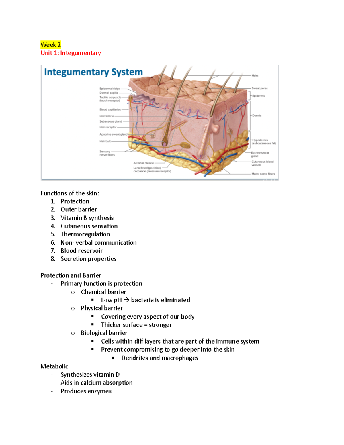 KAAP Week 2 Notes - Week 2 Unit 1: Integumentary Func5ons of the skin ...
