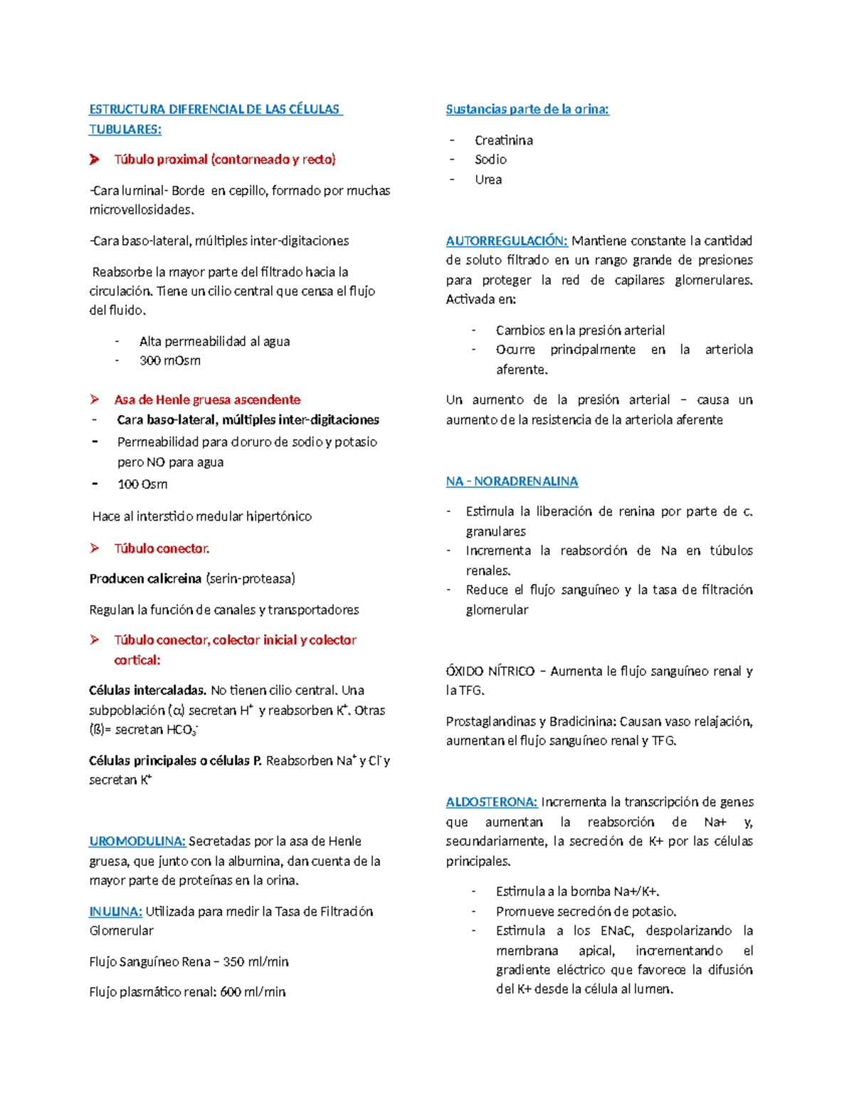 Renal - ESTRUCTURA DIFERENCIAL DE LAS CÉLULAS TUBULARES: Túbulo ...