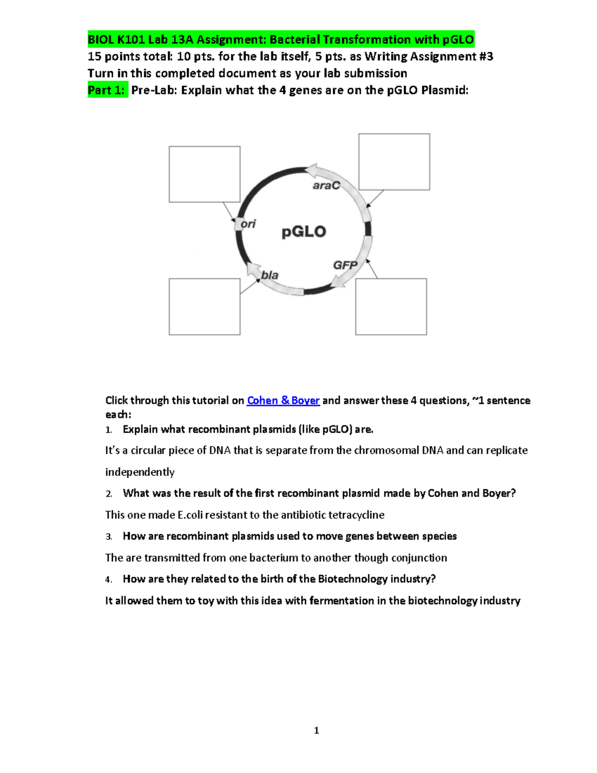 K101 Lab 13A p GLO Lab Students FA20 - 1 BIOL K101 Lab 13A Assignment ...