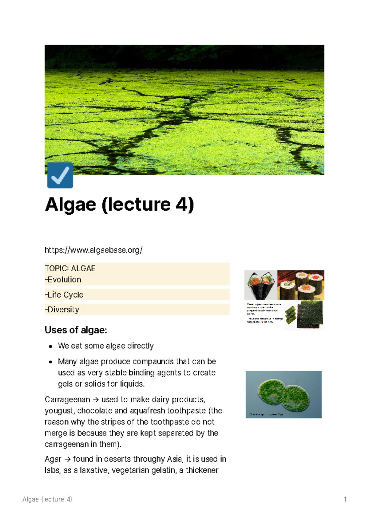 Algae l (evolution, life cycle, diversity - Algae Բlecture ԊԼ Ԇ ☑ Algae ...