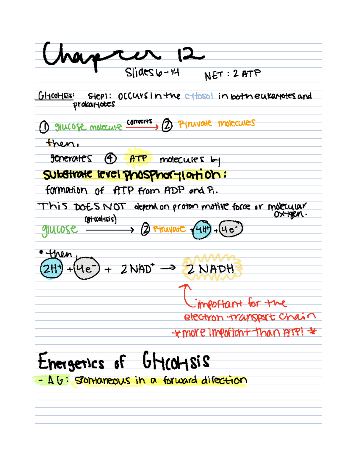 Cell and Molecular Biology Ch 12 notes - Chapter 12 Slides 6 14 NET 2 ...