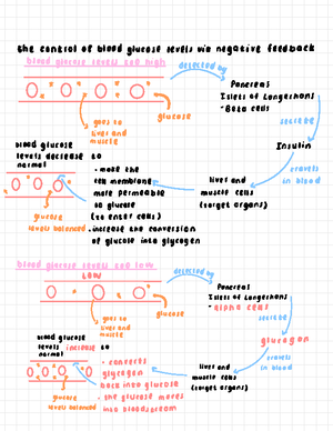 2023 Nervous System Notes - GRADE 12 LIFE SCIENCES - 2023 NOTES NERVOUS ...