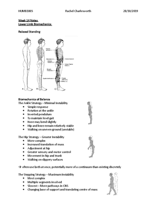 8. Posterior Leg - Notes - Posterior Leg ```` Superficial Posterior ...