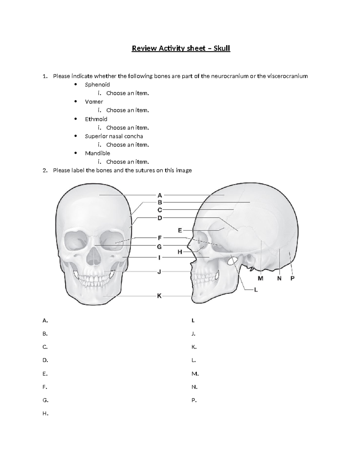 Skull work sheet - Review Activity sheet – Skull Please indicate ...