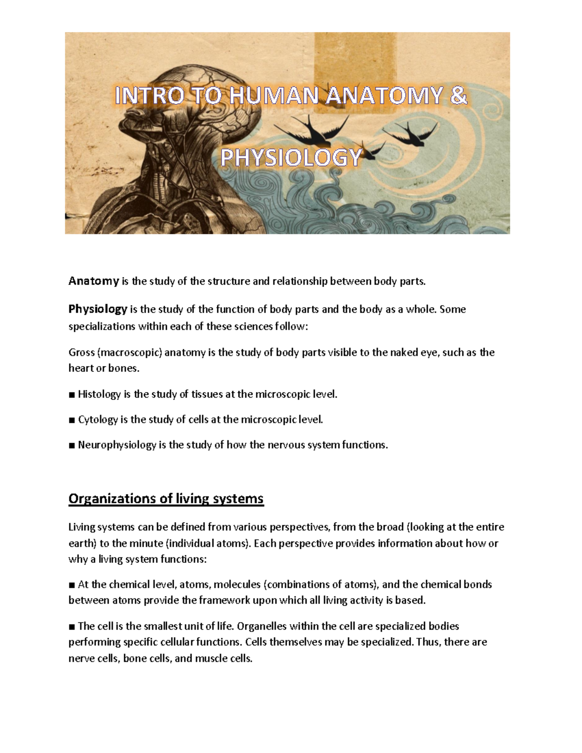 Intro to Human Anatomy - Anatomy is the study of the structure and ...