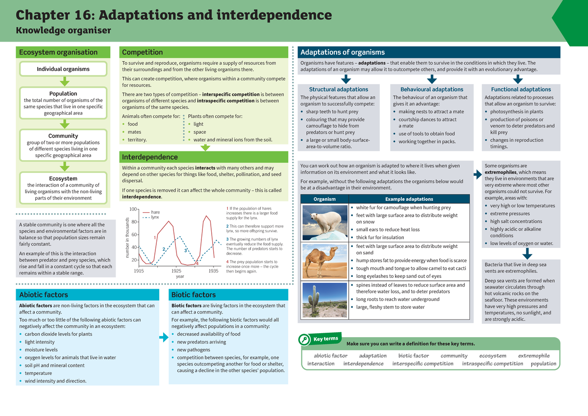 Adaptations and interdependence - Chapter 16: Adaptations and ...