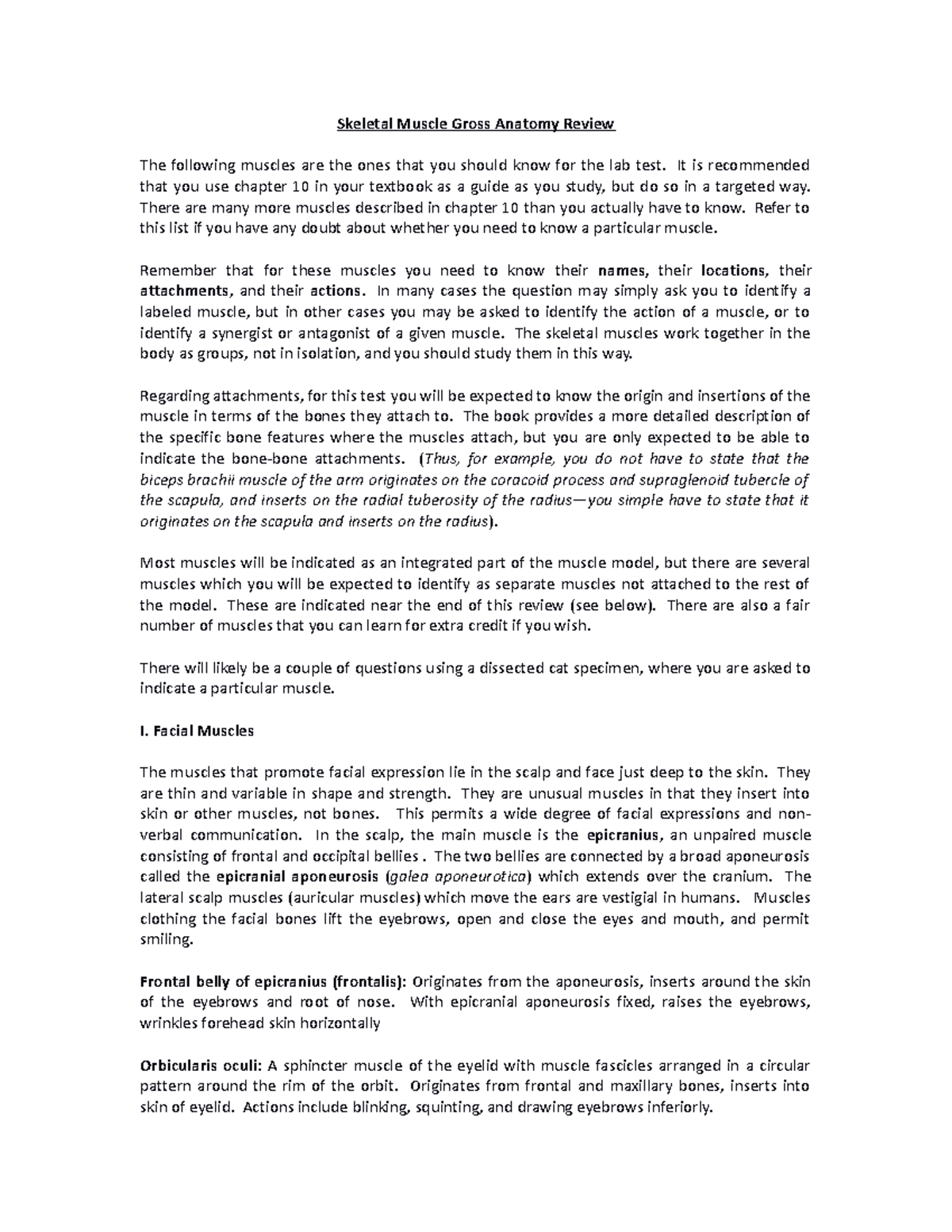 Skeletalmusclesreview - Skeletal Muscle Gross Anatomy Review The ...