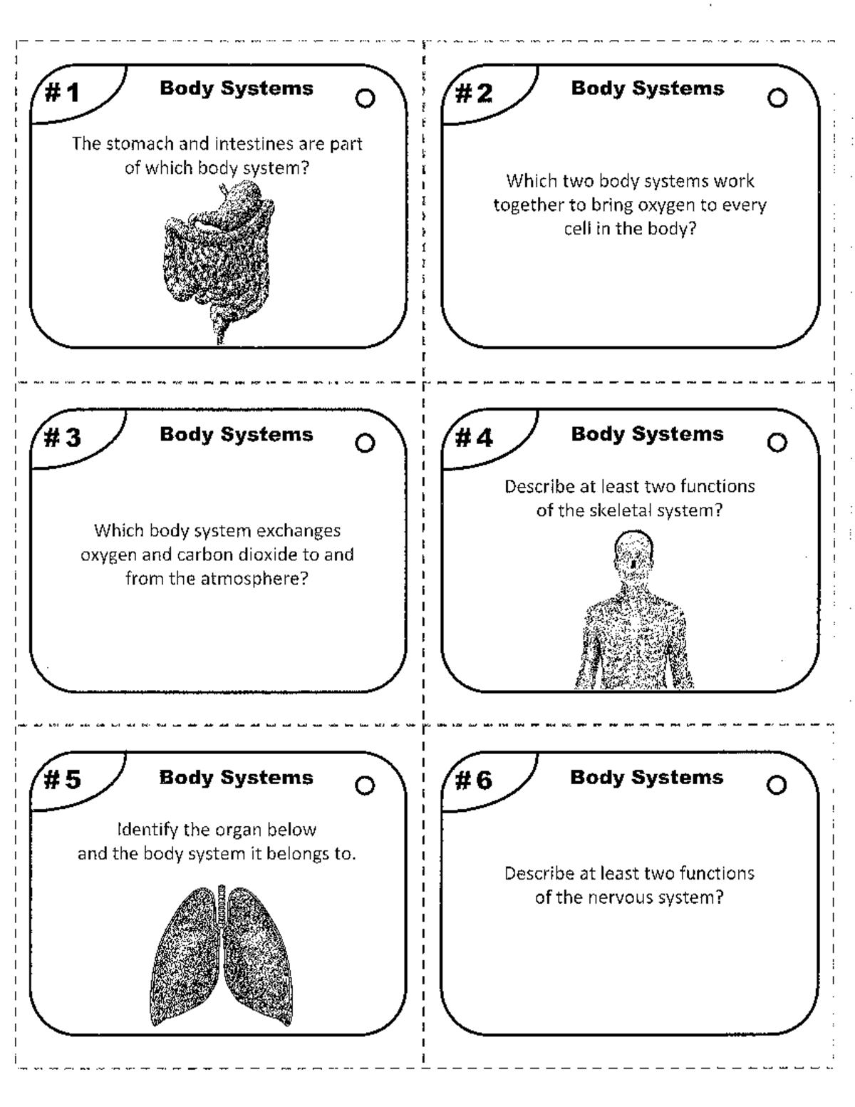 Body Systems Tasks Cards - 1 Body Systems O Body Systems O The stomach ...