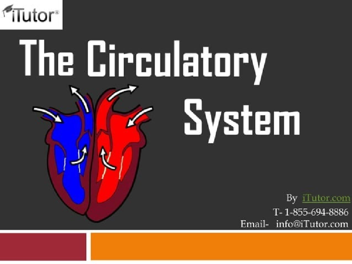 Document - circulatory system - science - Studocu