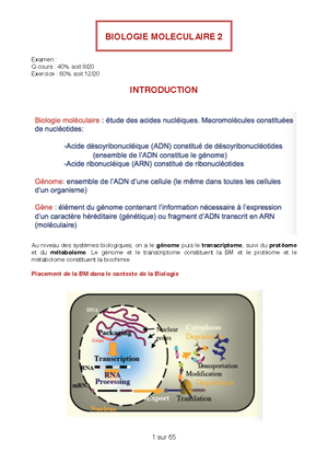 Compte rendu TP de biologie moléculaire S5 - L3 Biologie santé Compte-rendu de TP de biologie ...