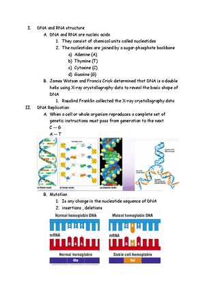Unit 3 Module 1 Cancer - Nicole DeVries Living World BIOLOGY ___ Notes ...