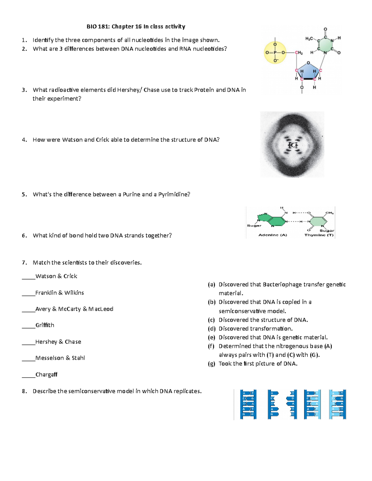 WEEK- 12-HW- Chapter 16 - BIO 181: Chapter 16 In class activity ...
