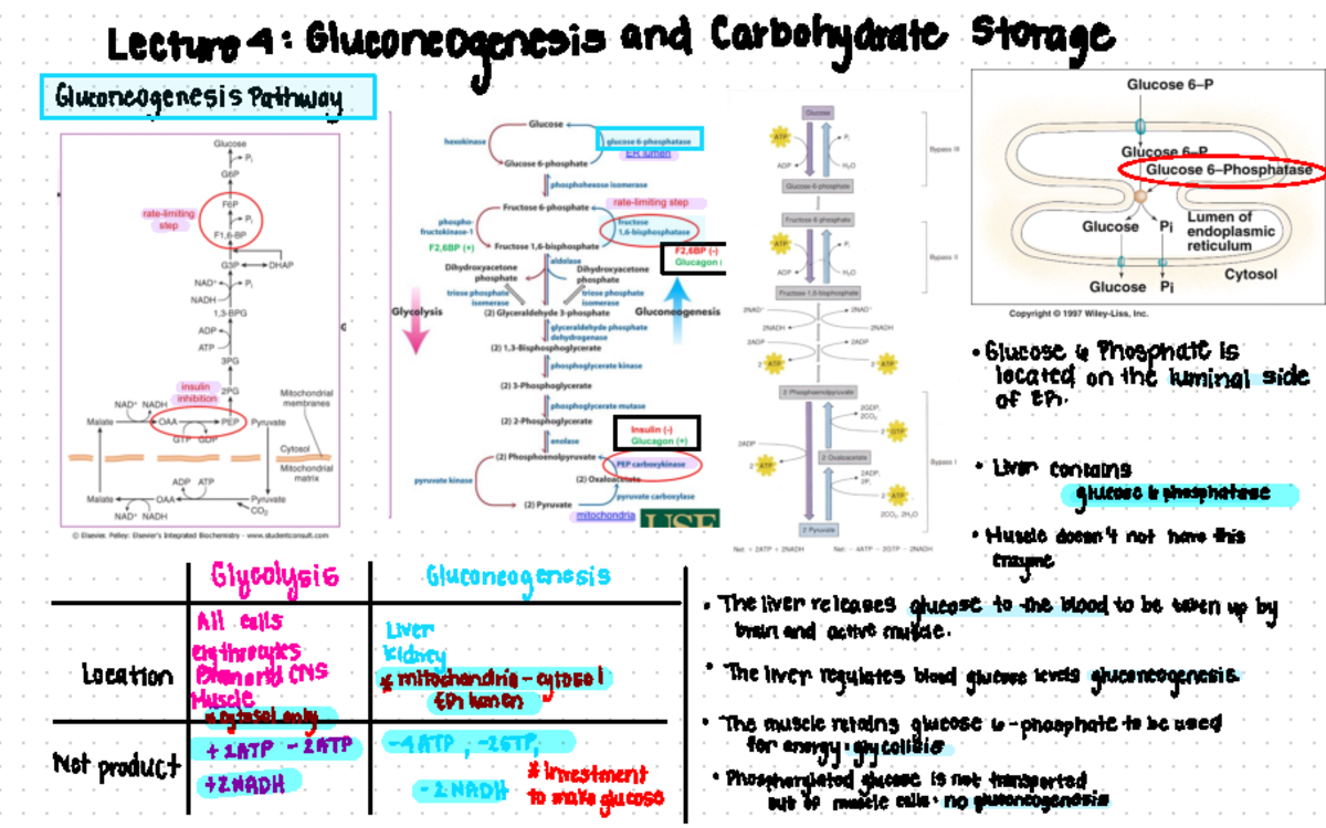 Lecture 4 Review - Block 2 - Deprecated API usage: The SVG back-end is no longer maintained and ...