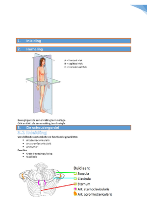 Heupspieren - myologie : belangrijkste onderdeel anatomie 1e jaar ...