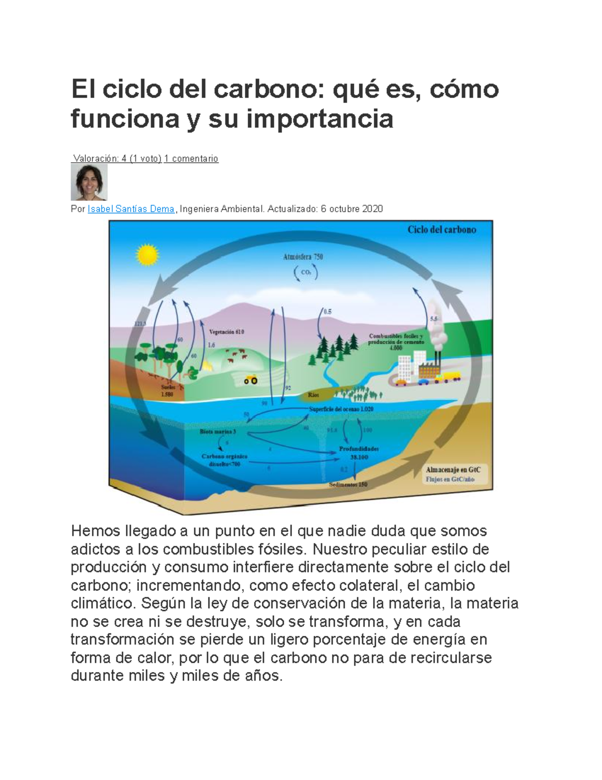 Hojas De Trabajo Sobre El Ciclo Del Carbono Ciclo Del Carbono