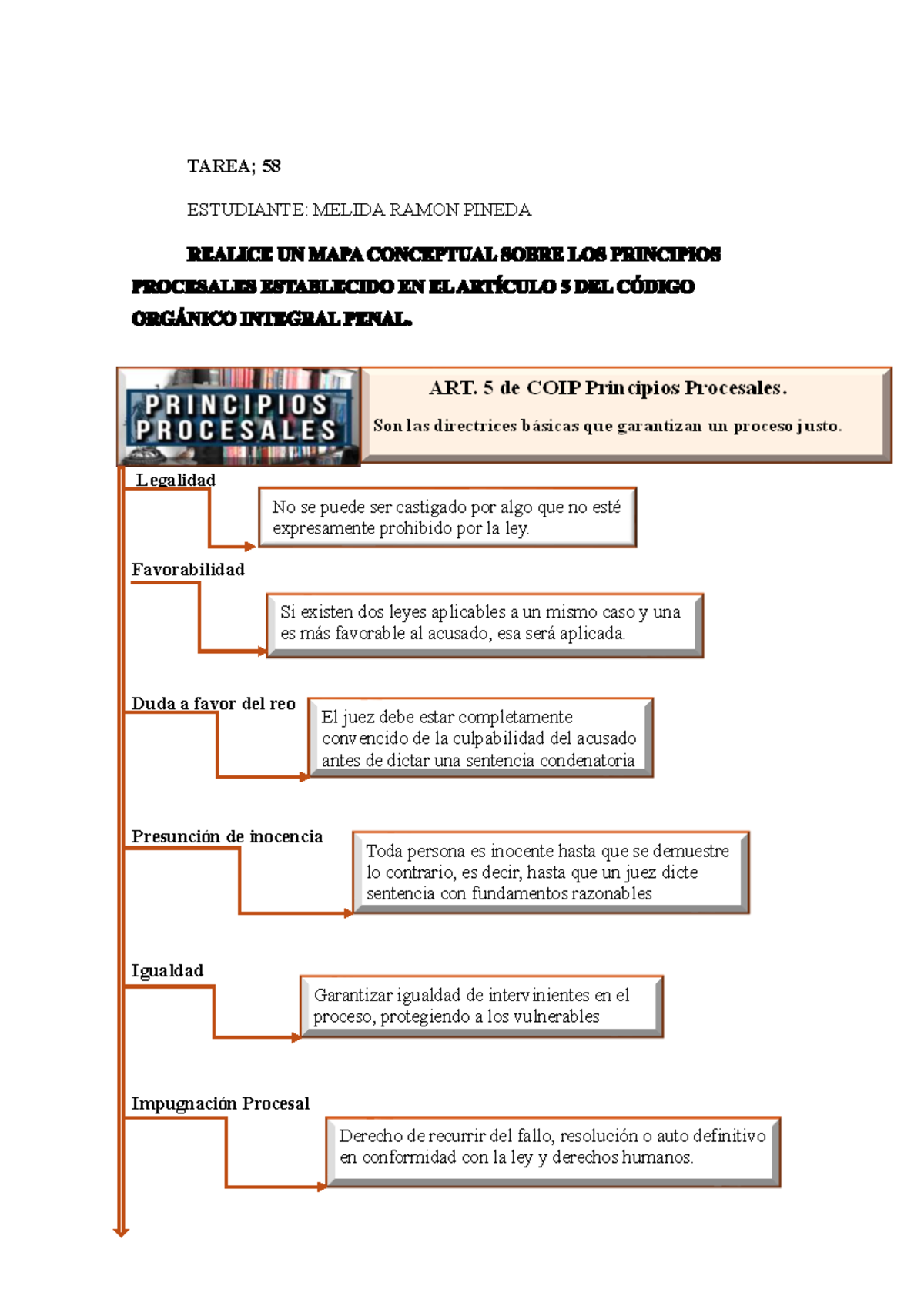 Tarea 58 ( Realice UN MAPA Conceptual Sobre LOS Principios Procesales Establecido EN EL Artículo ...