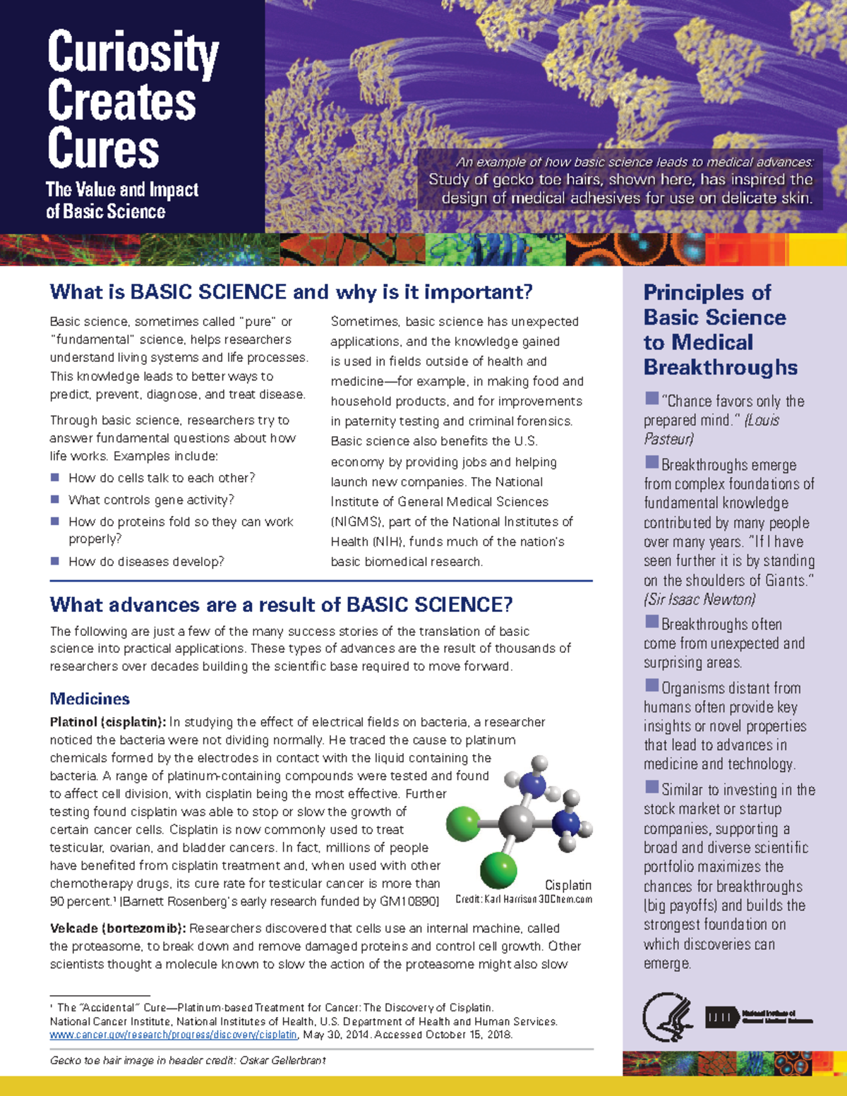 Fact sheet curiosity creates cures - Curiosity Creates Cures The Value ...