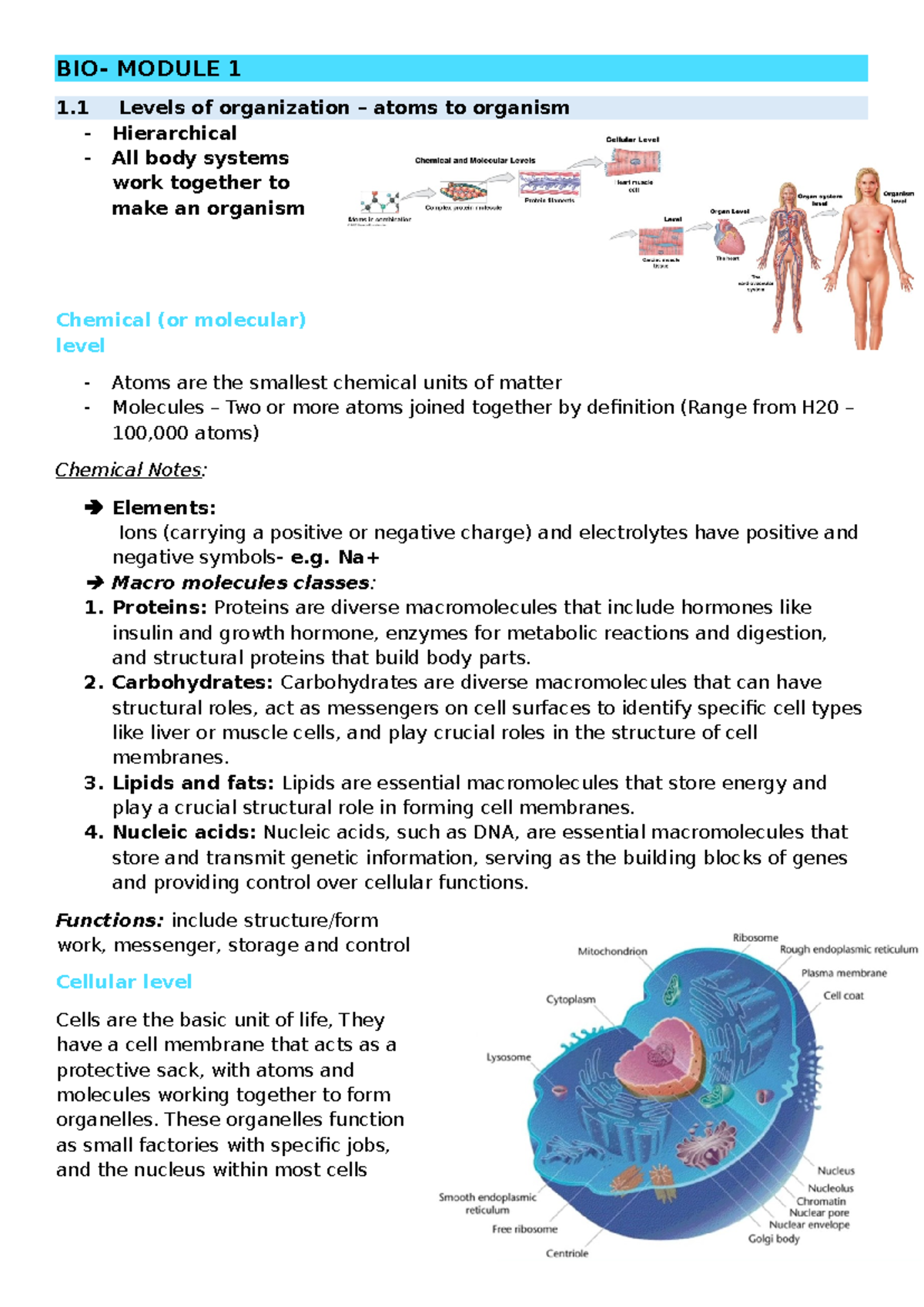 HUMAN BIO Notes weeks 1-6 - BIO- MODULE 1 1 Levels of organization ...