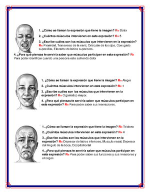 Anatomía DEL OJO. - E l o j o e s l a p a r t e d e l c u e r p o q u e s e e n c a r g a d e c ...