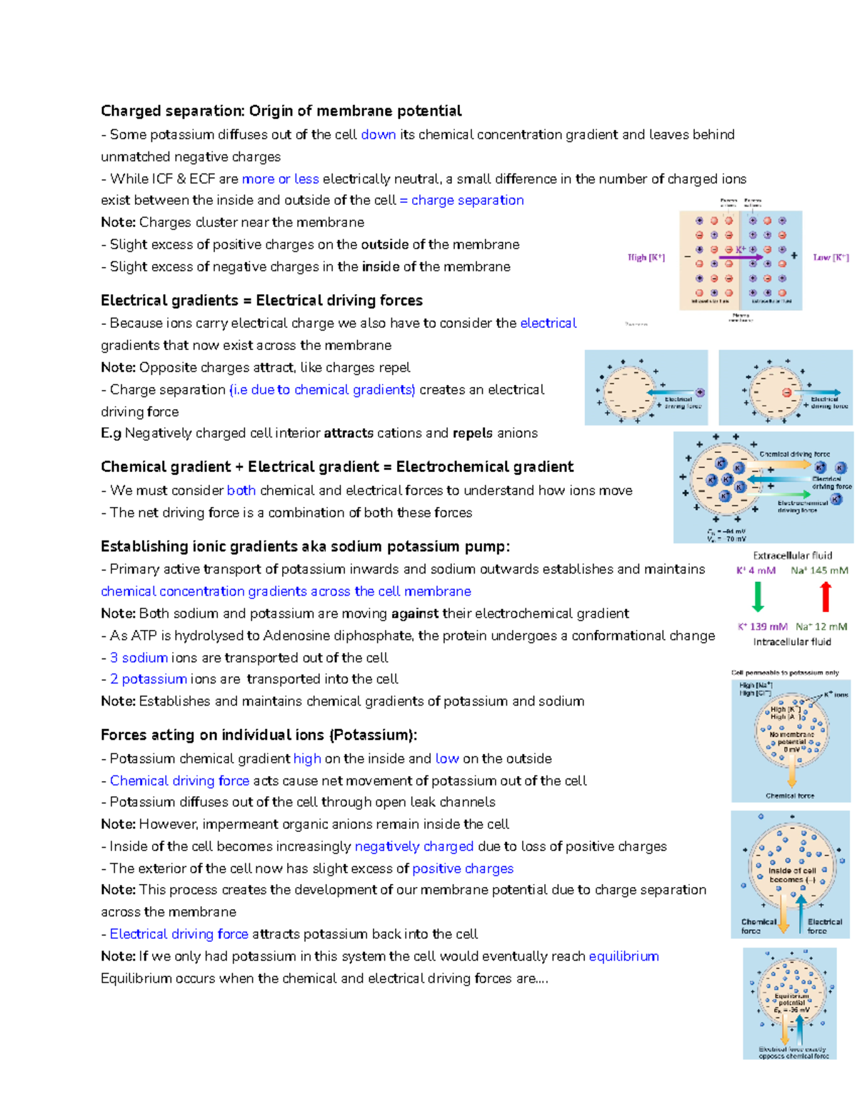 Week 2 Receptors, Graded potentials and Resting membrane potential pt3 ...