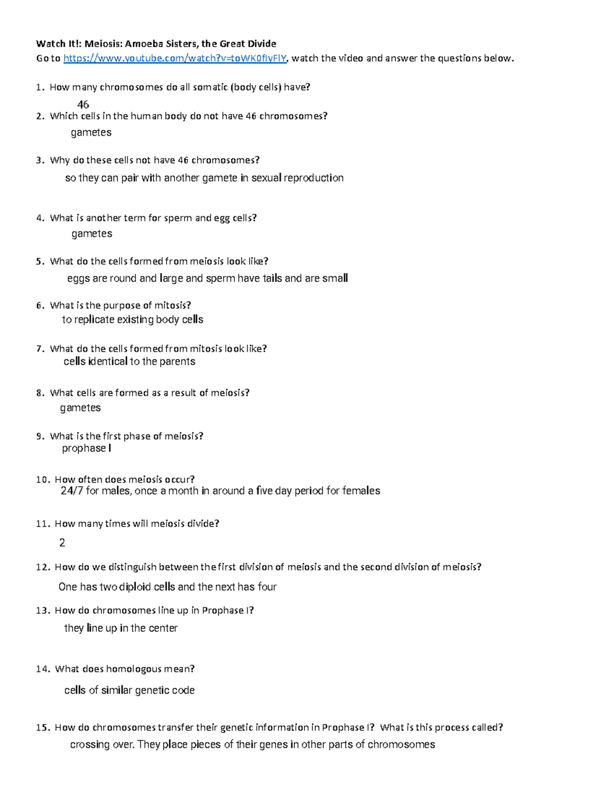 Kami Export - watch-it-meiosis-video - Watch It!: Meiosis: Amoeba ...