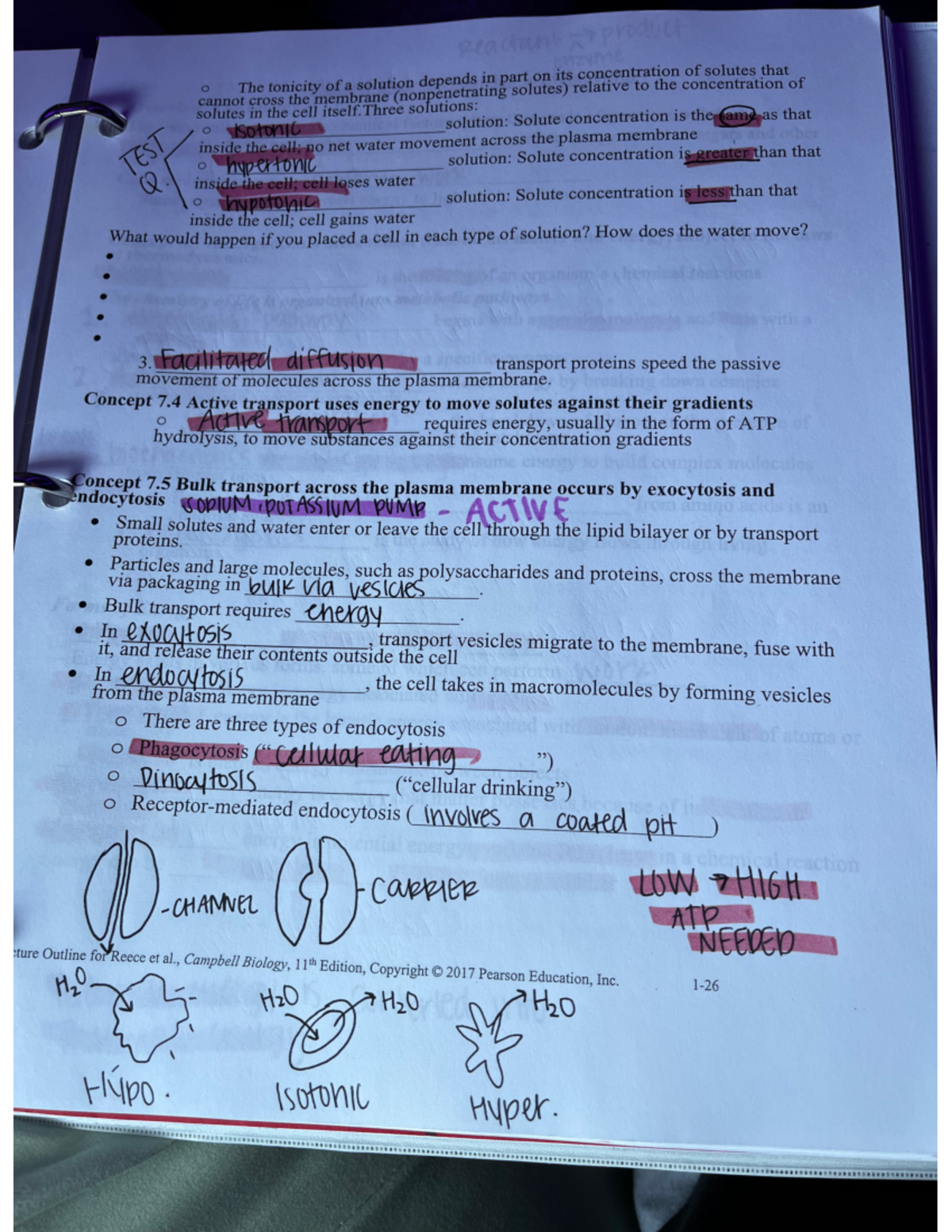 20 - biology lecture notes - BIO1134 - Studocu