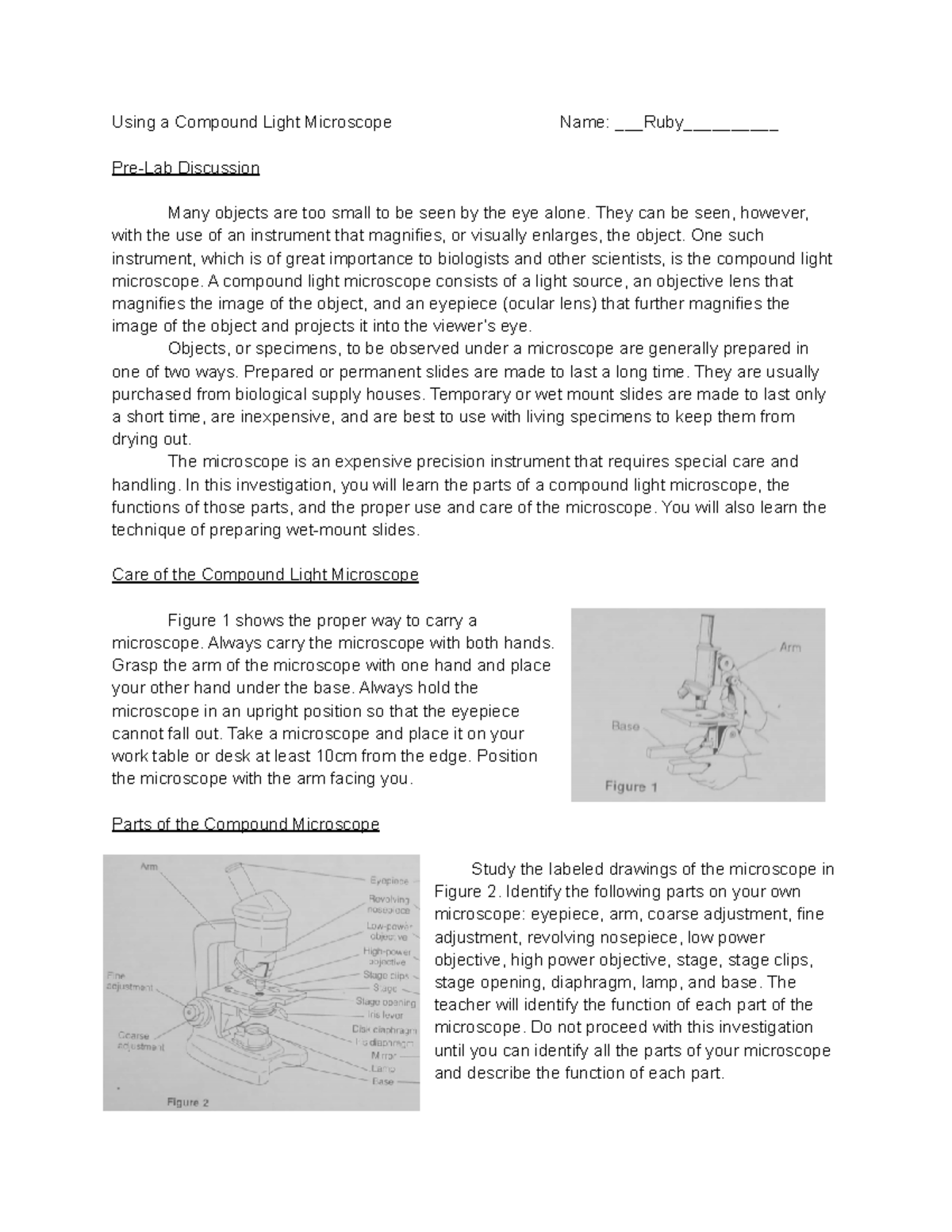 Copy of Using a Compound Light Microscope - Using a Compound Light ...