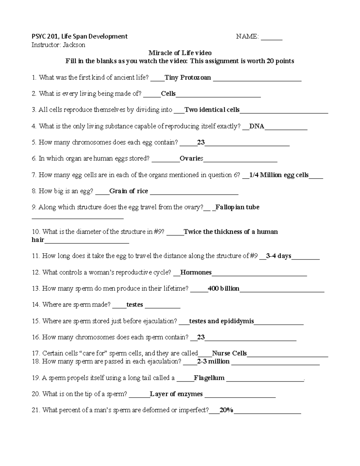 Ch2-Activity Worksheet lifespan development - PSYC 201, Life Span ...